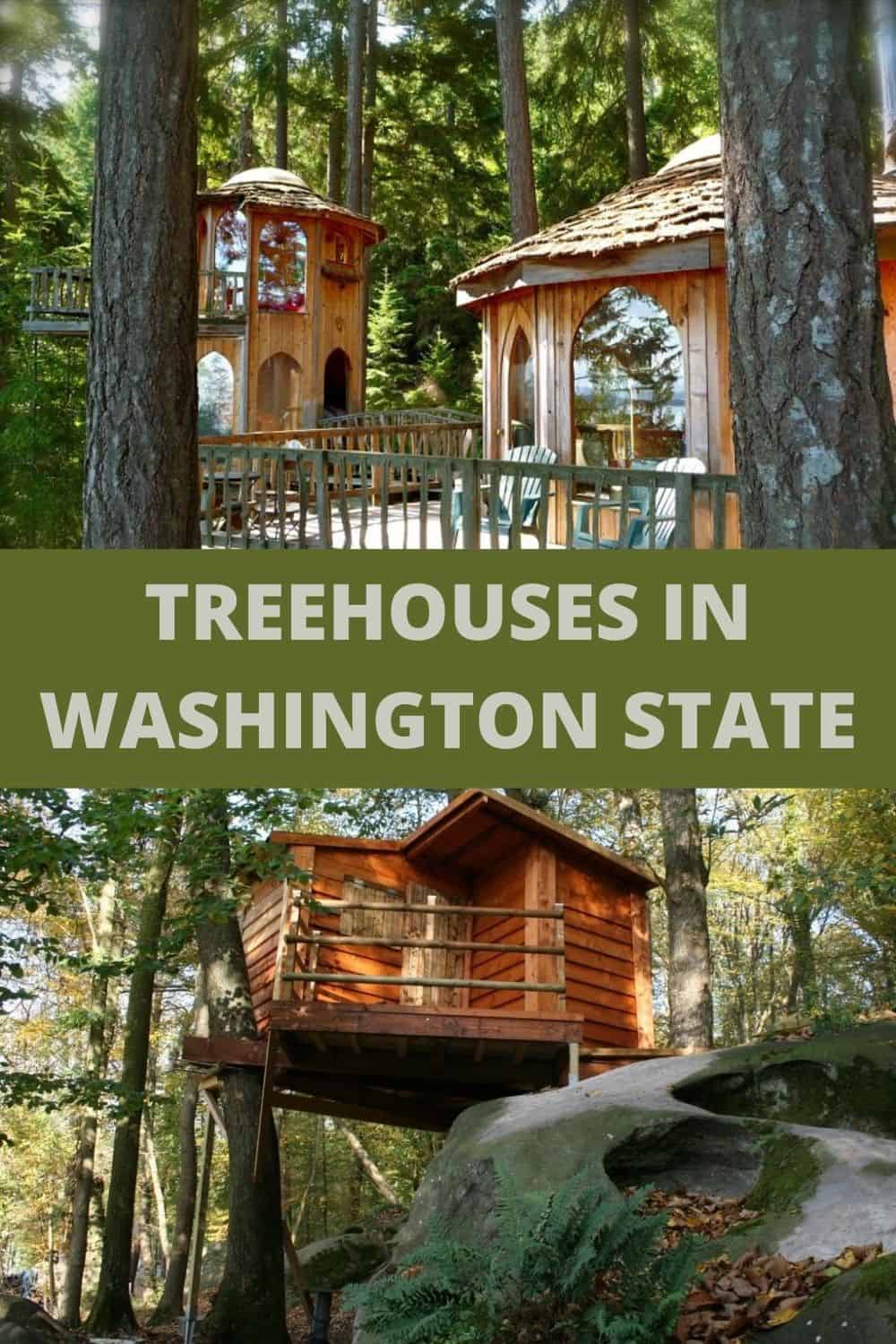 Top Treehouses in Washington State for 2025
