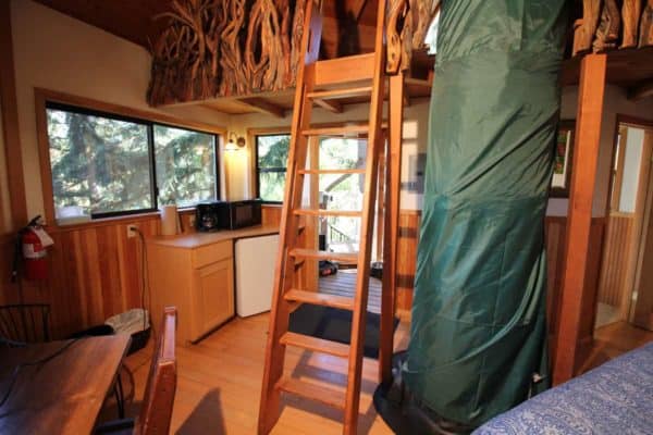 23 Top Glamping in Oregon Stays for a Getaway (Updated 2024)