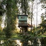 Top Treehouses in Washington State for 2025