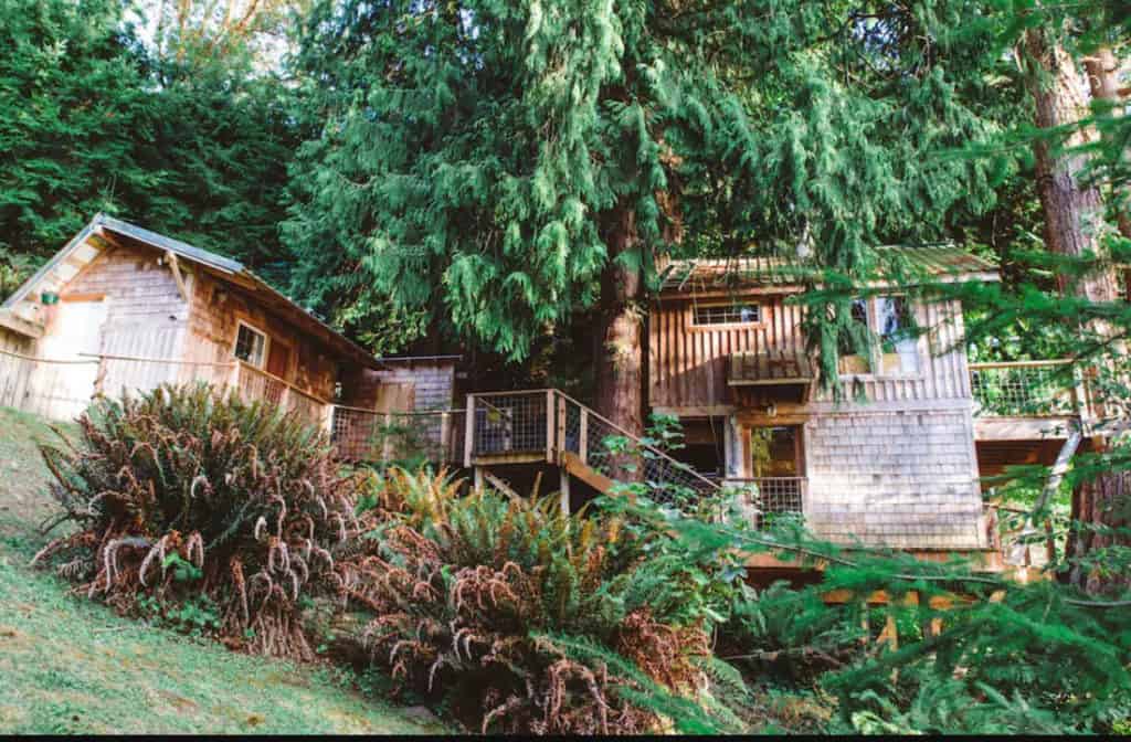 Top Treehouses in Washington State for 2025