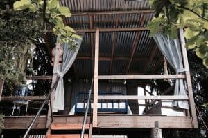 Top Treehouses in Washington State for 2025