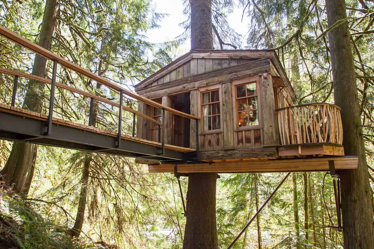 Top Treehouses in Washington State for 2025