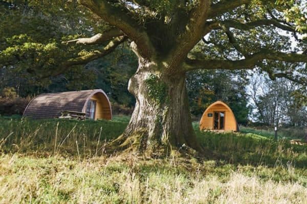 Dynamite Forest of Dean Glamping Spots | All About Glamping