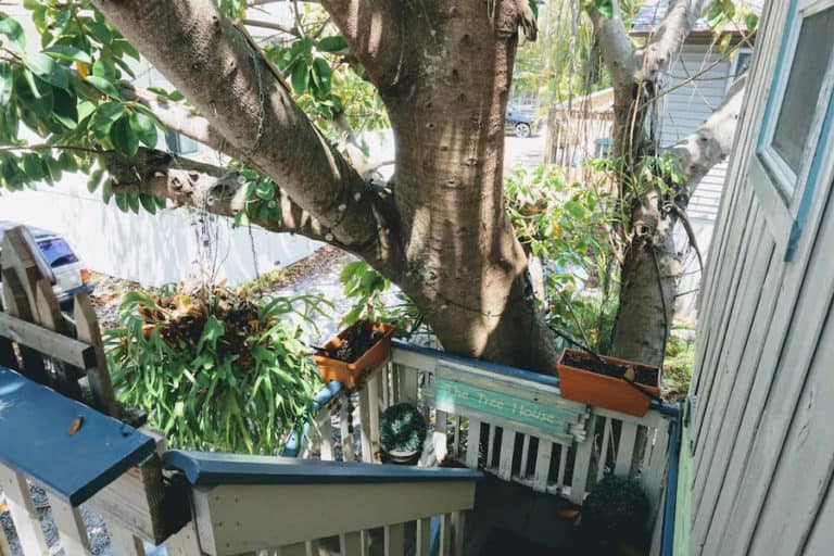 9 Florida Treehouses You Must Visit | All About Glamping