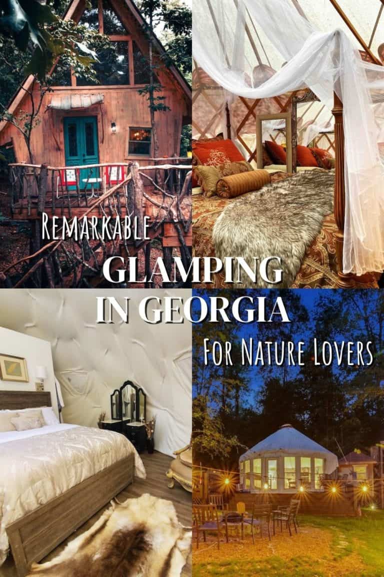 14 Remarkable Glamping in Georgia Spots for Nature Lovers