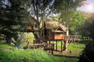 9 Magical Treehouses Thailand has to Rent - The Thailand Tree House List