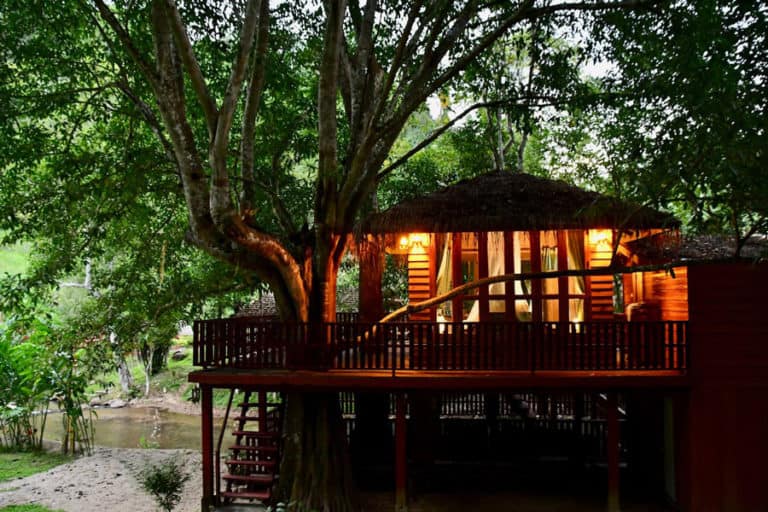 9 Magical Treehouses Thailand has to Rent - The Thailand Tree House List