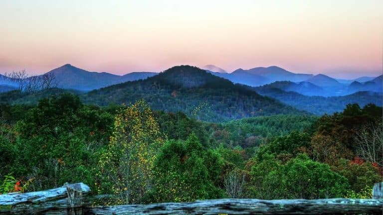 14 Epic Blue Ridge Treehouse Rentals in Georgia