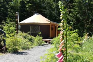 10 Epic Mt. Rainier Cabins, Yurts, Treehouses and More