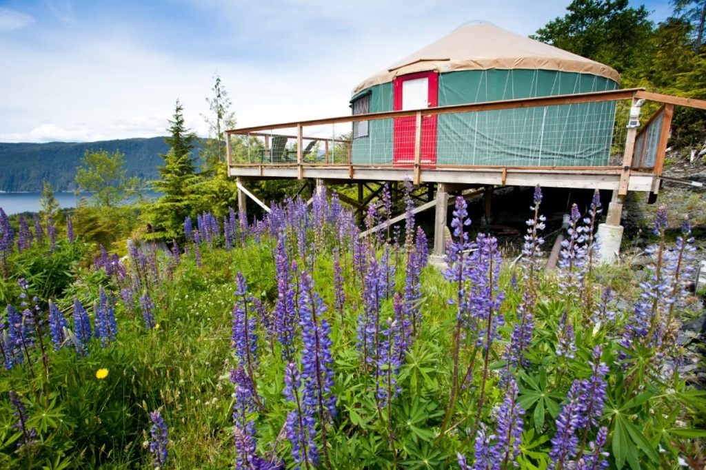 Best Yurts Vancouver Island Offers for a Getaway